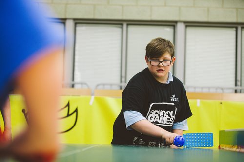 Your School Games - Polybat